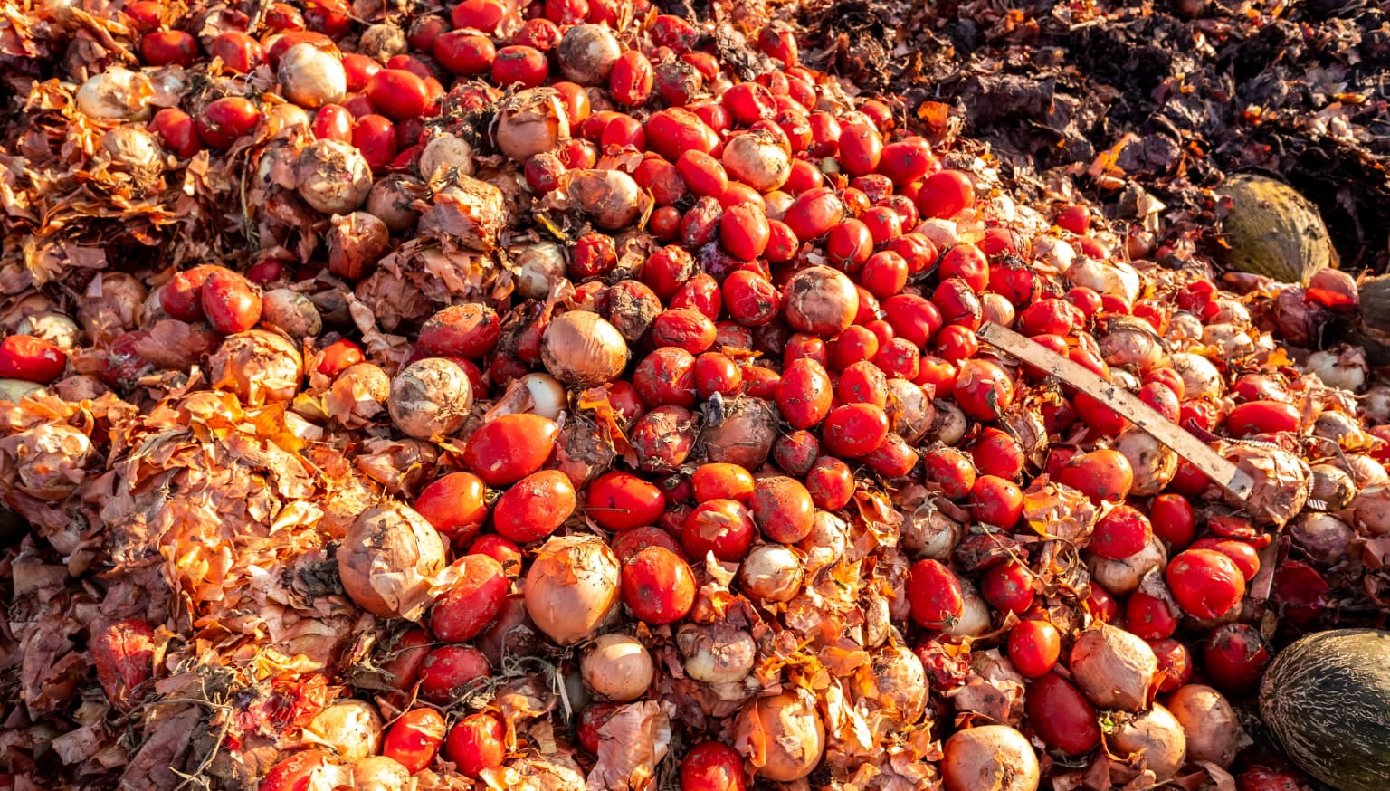 How Blockchain Food Security Can Reshape the Food Landscape?