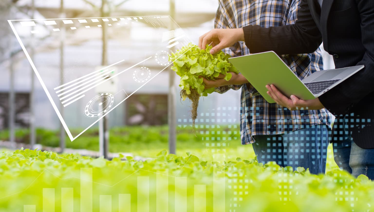 Farm to Plate: Ensuring Traceability & Security in MENA's Food Industry