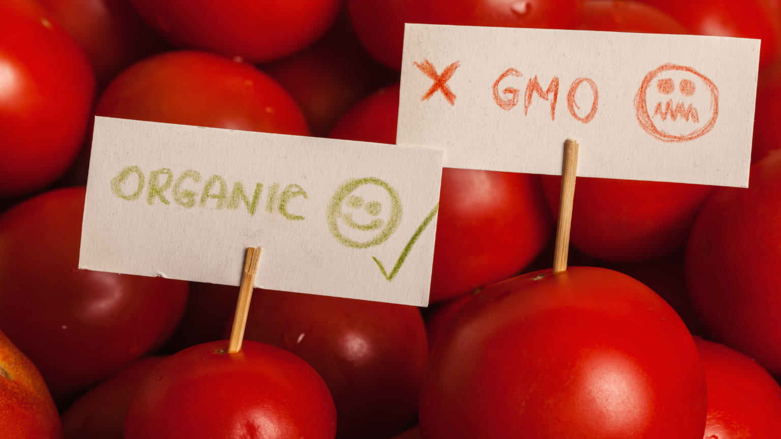 Use Blockchain Technology For Non Gmo Sustainability
